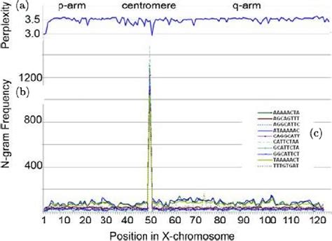 Analysis Of X Chromosome The X Axis Shows The Position In The