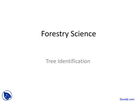 Tree Identification Forestry Natural Resources And Wildlife Lecture Slides Slides Wildlife