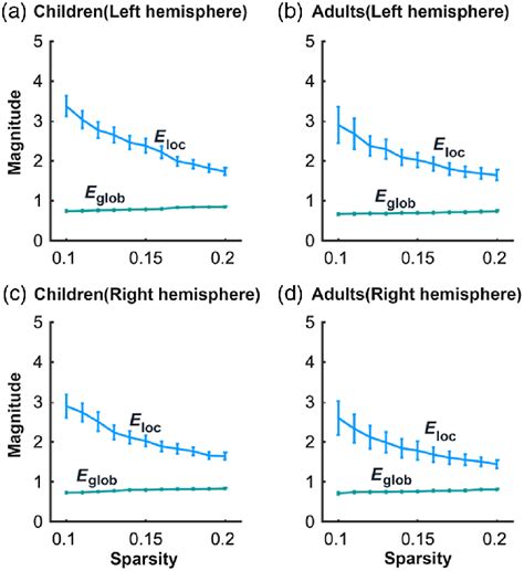 Small World Characteristics Of The Hemispheric Functional Networks For