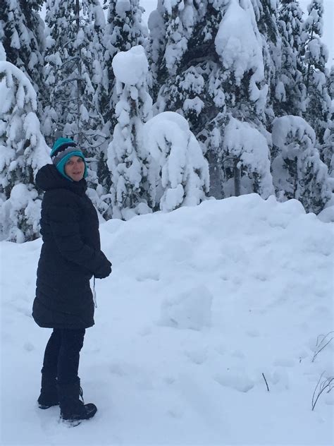 Lapland Dollops Andrea Goldsmith