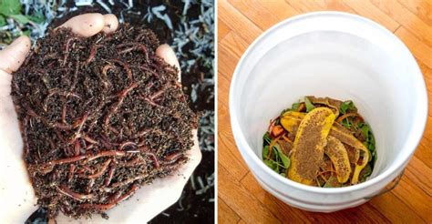 17 Easy Composting Methods For Beginners Complete Gardening