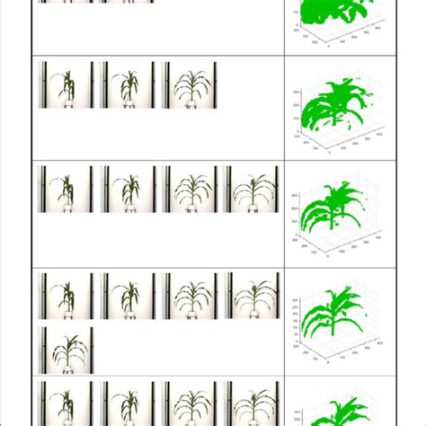 Illustration Of 3d Plant Voxel Grid Reconstruction Using Iterative Download Scientific
