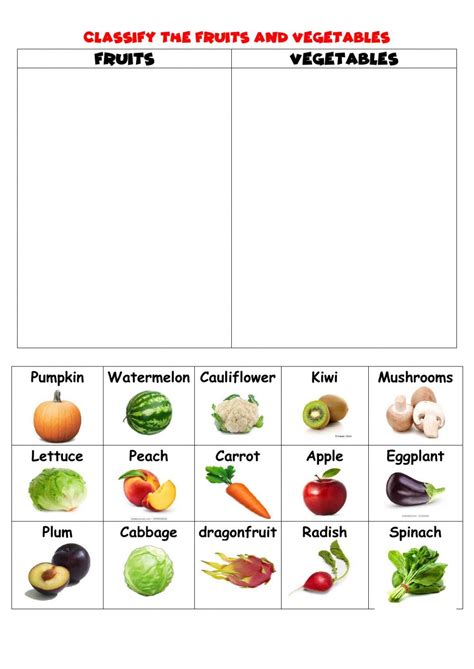 Fruits And Vegetables Classify Worksheet Fruits For K