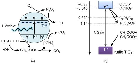 Highly Active Rutile Tio2 For Photocatalysis Under Violet Light Irradiation At 405 Nm