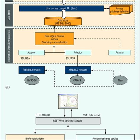 Pdf Broadening The Perspective Of Ai In Public Health Surveillance From Local Detection To