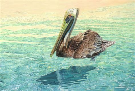 Pelican Floating On A Clear Sea ~ Jim Turgeon Oil Painting Pelican