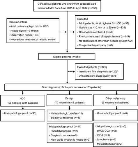 Process Of Patient Selection For The Study Cohort Hcc Hepatocellular
