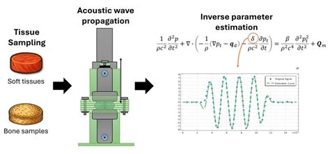 Biomedical Ultrasound Sounddiffusivity Frequencydependent
