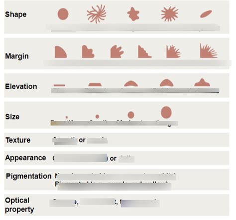 Lab Quiz Diagram Quizlet