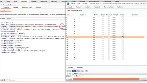 Blind Sql Injection With Conditional Responses Web Security Academy