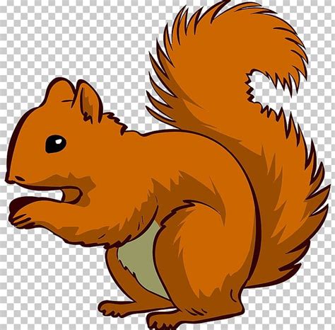 Education Teacher Squirrel Teaching Assistant Png Clipart Beak