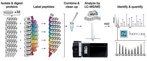 Proteomics • Cardiovascular Proteomics