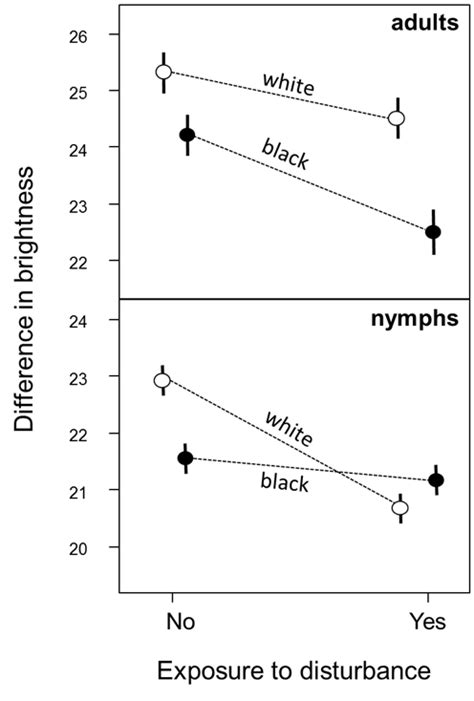 Grasshopper Adults Top Panel And Nymphs Bottom Panel Reduce Their Download Scientific