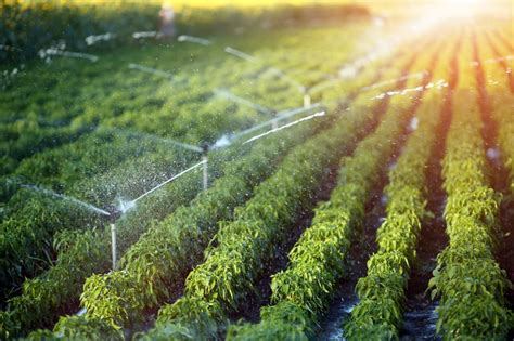 5 Types Of Irrigation Systems Goulburn Valley Sprinklers Landscaping