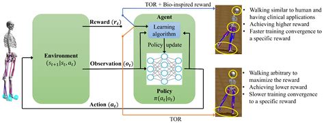 Inertia Constrained Reinforcement Learning To Enhance Human Motor Control Modeling