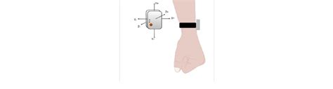 Location And Orientation Of IMU During Data Collection Download Scientific Diagram