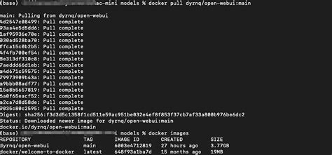 mac 部署ollama openwebui完全指南 ollama mac配置 csdn博客