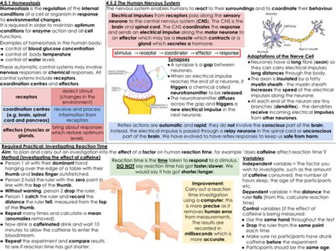Combined Science Final Revision Sheet Biology Paper 2 Teaching Resources