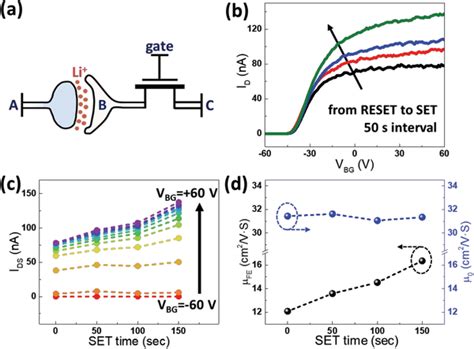 A Schematic Of The Synapse‐like 1t2h Homojunction Mos2 Fet The Download Scientific Diagram