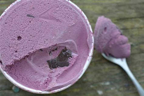 Black Raspberry Chocolate Chip Ice Cream