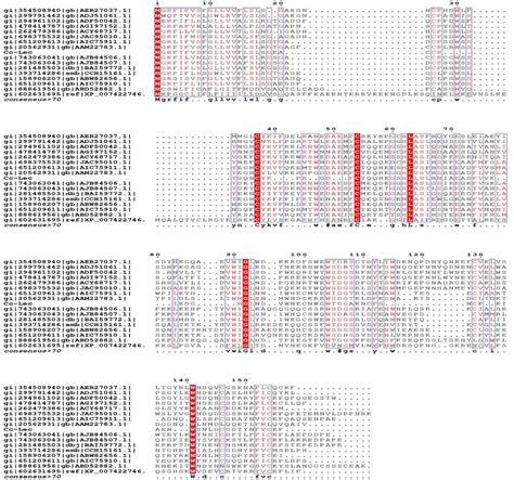 Multiple Sequence Alignment Of Cc Lec With C Type Lectins Of Several