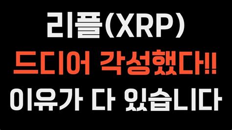 리플 이 정도면 노렸는데요 대박 Youtube