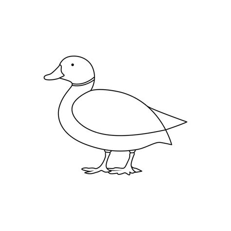 premium vector duck continuous line art drawing one line art design