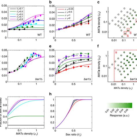 Stimulus Attenuation Enables Sex Ratio Sensing In Mixed Populations Of Download Scientific
