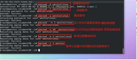 Linux系统中的用户管理 查看用户所在组 CSDN博客