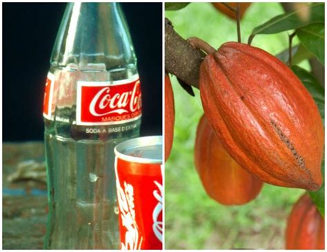 The Origin Of The Iconic Coke Bottle Shape