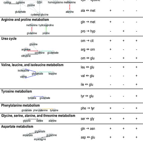 Metabolic Pathways And The Corresponding Metabolites That Are