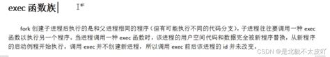 Linux系统编程之exec函数族用exec函数族函数实现 Ls L A 命令 Csdn博客