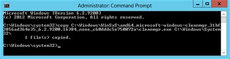 How To Add Enable Run Disk Cleanup In Windows Server R