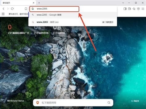 Brave浏览器绿色免安装中文版下载 Brave浏览器电脑版下载v180122 官方pc最新版 2265安卓网