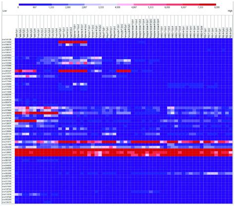 Tissue Expression Profile Of Maternal Genes In Larvae On Day 3 Of The
