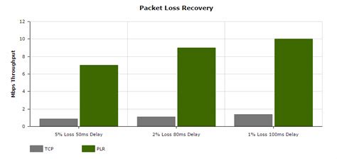 Packet Loss Recovery