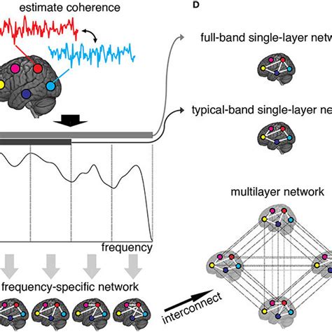 Structural Reducibility Of The Multiplex Functional Network A Download Scientific Diagram