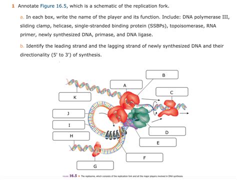 solved 1 annotate figure 16 5 which is a schematic of the