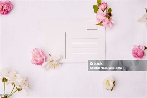 봄 핑크와 흰색 꽃과 주소 모의 장소와 엽서 초대 낭만적 인 결혼식 생일 어머니의 날 카드 개념 공간을 복사합니다 위쪽 보기 엽서에 대한 스톡 사진 및 기타 이미지 Istock