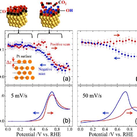 Vertical Displacement Of The Surface Atomic Layer Of The Pt111