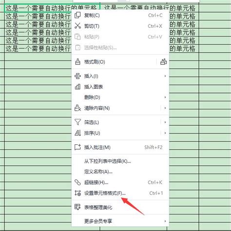 Wps表格操作自动换行怎么设置应用软件 赛效
