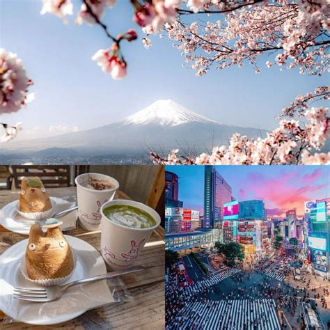 3738 Best Images About Japan On Pinterest Japan Trip Chiyoda Tokyo And