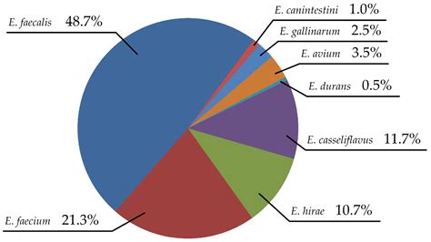 Antibiotic Resistance And Species Profile Of Enterococcus Species In