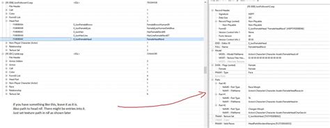 Removing Custom Bodyskin From Standalone Followers Skyrim Technical