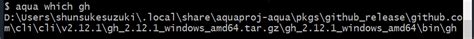 Support Windows Issue Aquaproj Aqua GitHub