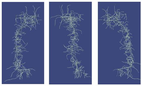 Front View Left View And Right View Of The Root Reconstruction System Download Scientific