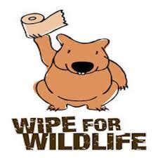 How Many Trees Are Cut Down Australia S Bush And Trees