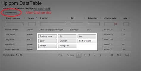 Javascript Jquery Datatables Custom Column Visiblity
