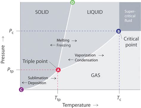 11 6 Phase Diagrams Chemistry Libretexts
