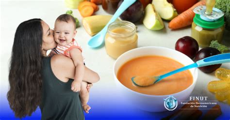 ¿cuáles Son Las Principales Recomendaciones De La Oms Sobre Alimentación Complementaria